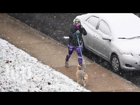 Meteorologists say AccuWeather’s unscientific forecasts are hurting their credibility