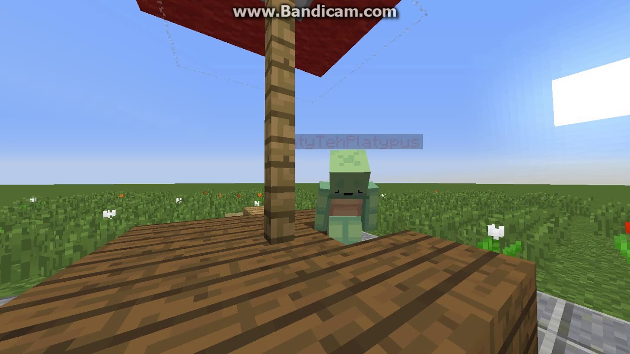 Funny Turtle Vine, Panting Minecraft