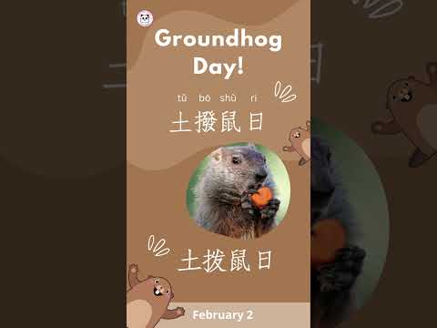Groundhog Day in Chinese