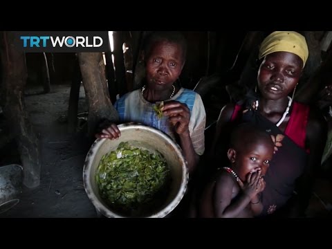 Insight: World Famine and Air Pollution - Part I