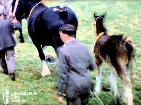 DEEPING AGRICULTURAL SHOW circa 1957