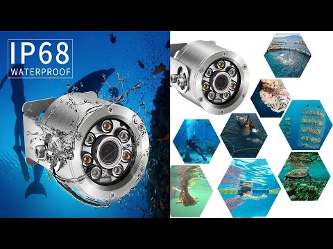 GoFish Cam Wireless Underwater Fishing Camera 2021 | BARLUS Aquarium CCTV Marine IP 316L Stainless