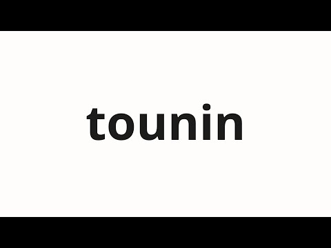 How to pronounce tounin | 到任 (To be appointed in Japanese)