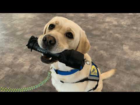 Northwest Region September 15, 2020 Veteran Service Dog Team Graduation