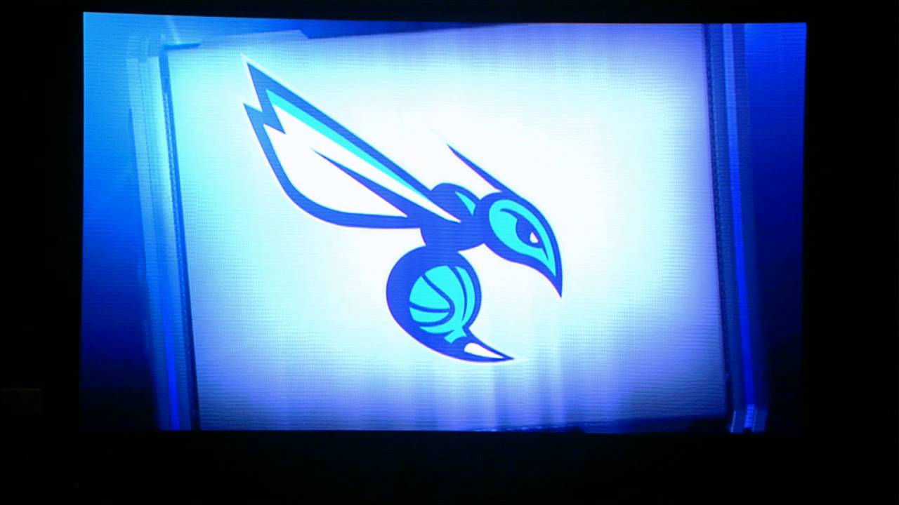 The Charlotte HORNETS Reveal Their New Logo
