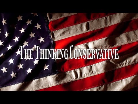 Google's Search Engine Doesn't Pick Up "The Thinking Conservative" Website