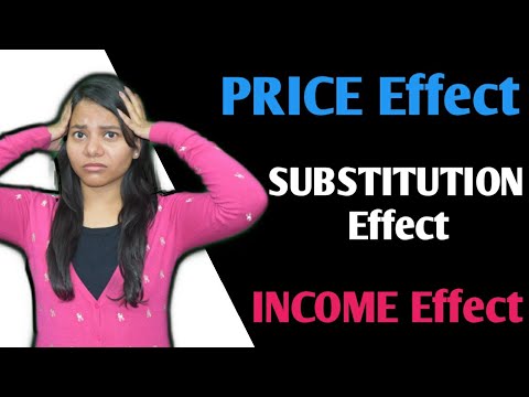 Chapter 2.18 : PRICE EFFECT - SUBSTITUTION EFFECT & INCOME EFFECT - Business Economics CA Foundation