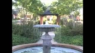 3 Best Gastroenterologists in Jackson, MS - Expert Recommendations