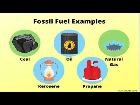Chemical Carcinogens and Carcinogenesis