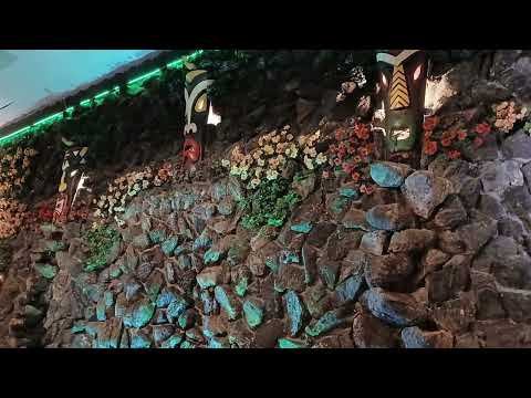 Lee Hawaiian islander Chinese-Polynesian cuisine