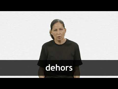 English Translation of “DEHORS” | Collins French-English Dictionary