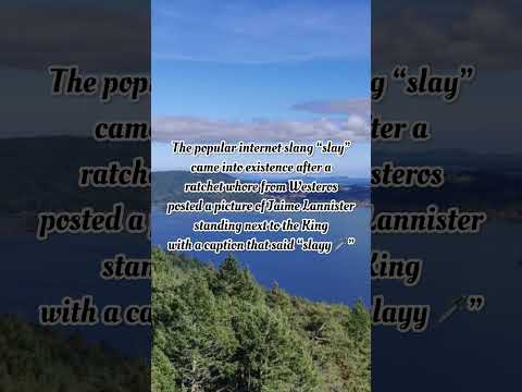 Origin of the slang “Slay”