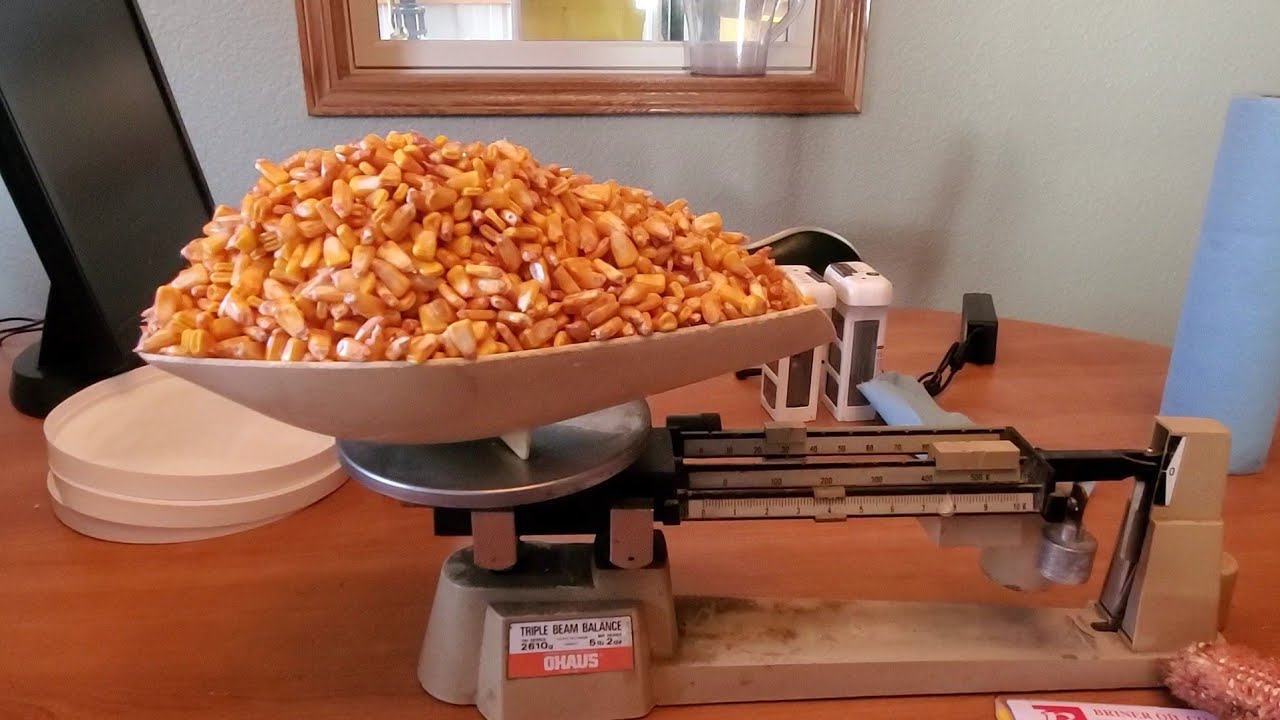 How to Check Corn Yields - #255
