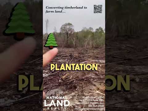 How do you convert timberland to ag or farm land? Here’s a quick video on where & how to lay it out