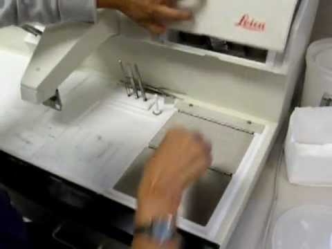 Tissue Embedding Station - Tissue Embedding System Latest Price ...