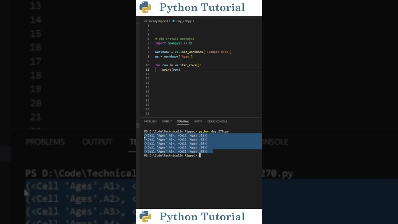 Reading Excel Files - Openpyxl | Python Tutorial