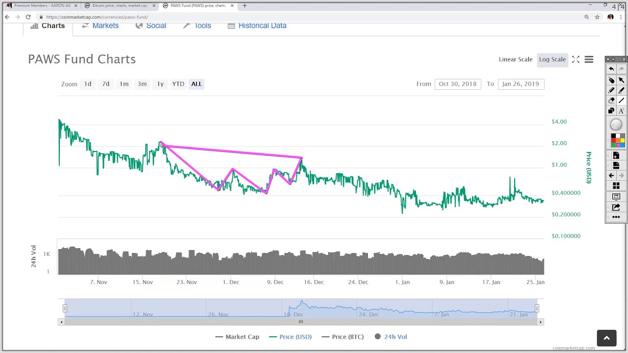 PAWS Fund - Pattern Analysis - courtesy of Aaron AG!