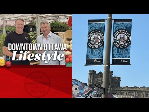 Navan Fair 2024 - Schedule