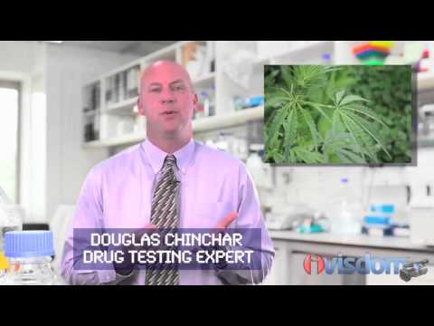 Other Names For Marijuana