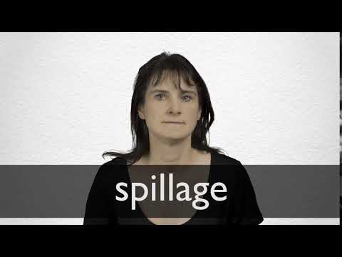 SPILLAGE definition in American English | Collins English Dictionary