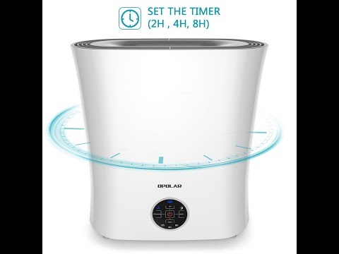 Evaporative Humidifier