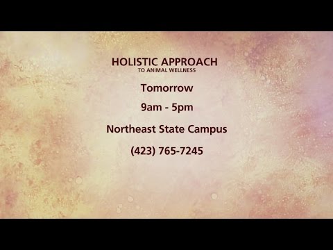 Holistic Approach To Animal Wellness