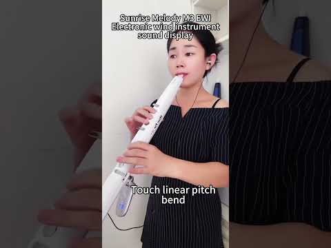 Sunrise Melody M3 EWI electronic wind instrument sound display, one of the 66 sounds