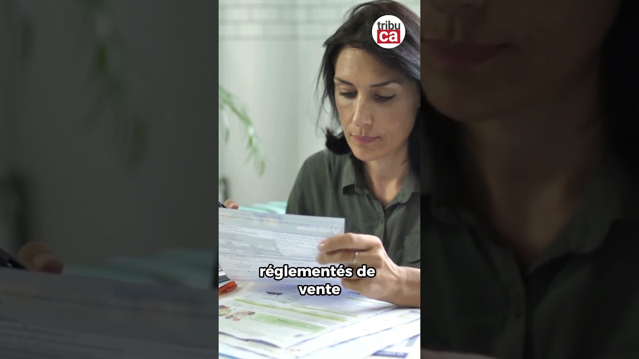 Électricité : Tout savoir sur les nouveaux tarifs Bleu, Jaune et Vert ...