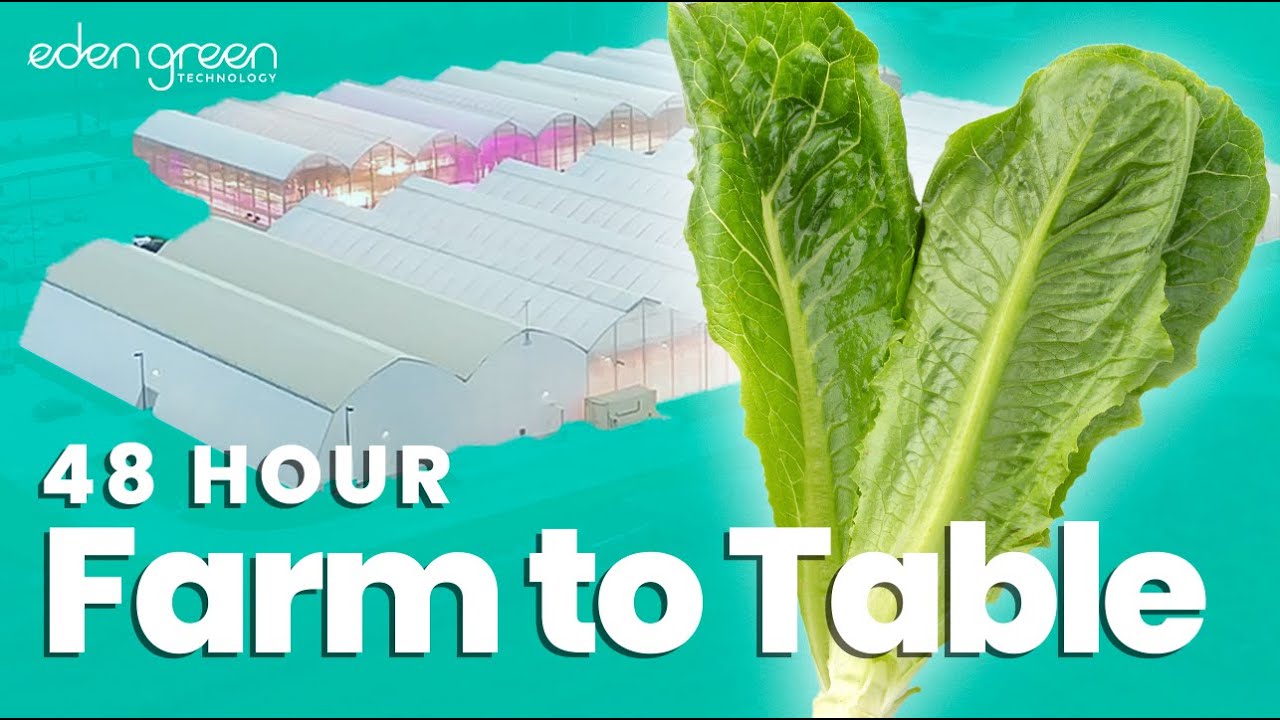 Farm to Table in 48 Hours: Redefining What Fresh, Local Produce Means to You