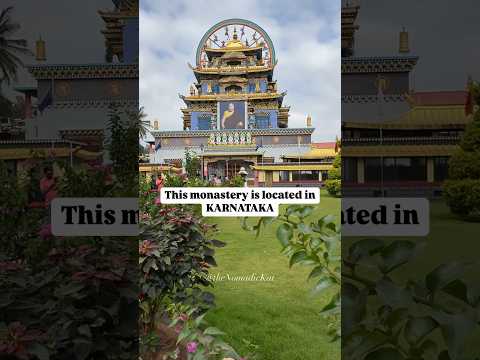 📍Namdroling #monastery #coorg #kodagu #karnataka #bangalore #tibetan #buddha #goldentemple