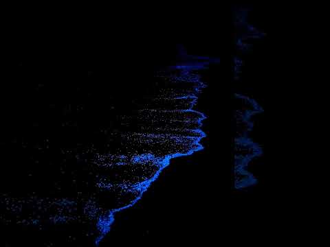 Plankton Light | Glowing waves | Bioluminescence