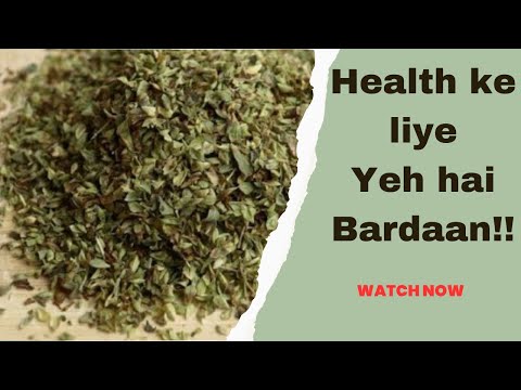 Benefits Of Oregano। Oregano ke Fayde in Hindi