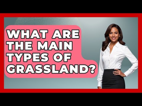 What Are The Main Types Of Grassland? - Bird Watching Diaries