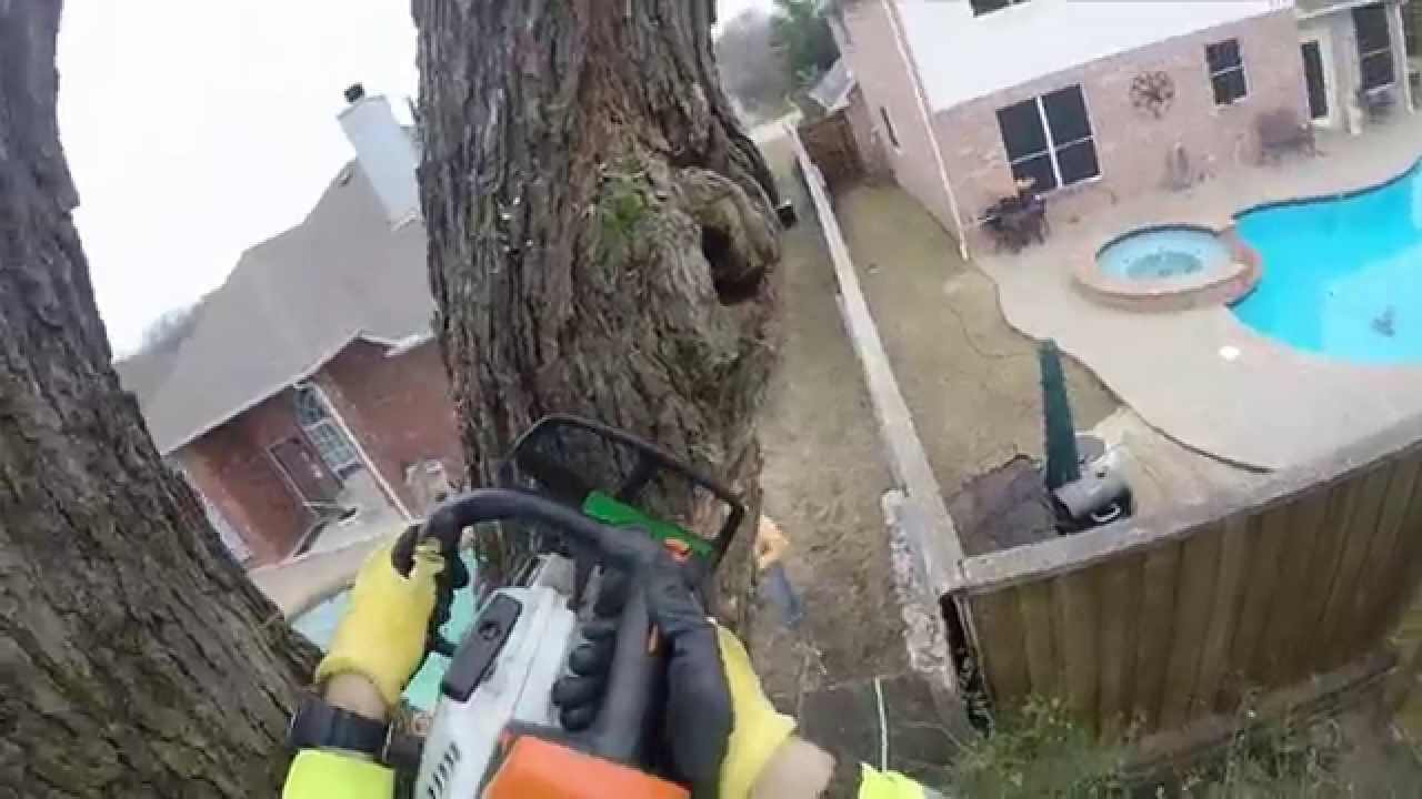 GoPro Hero 3+ silver limb removal