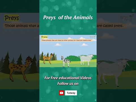 Preys | Characteristics of Animals | Predators, Preys | Preys of the Animals | Science #shorts
