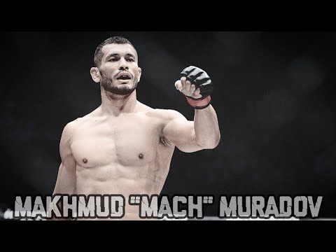 What’s Next for Shavkat Rakhmonov & Nick Maximov? – Billy's MMA Blog