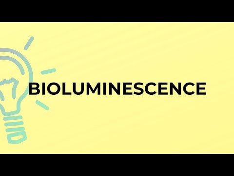What is the meaning of the word BIOLUMINESCENCE?
