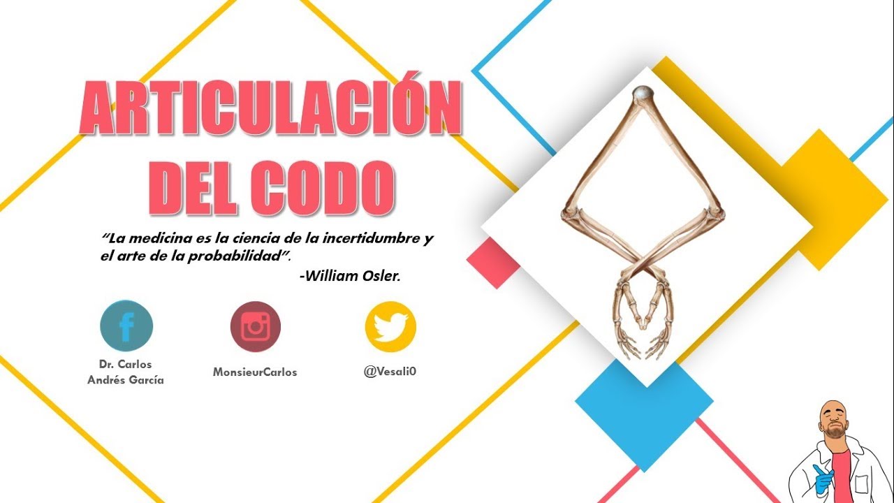 Anatomy - Elbow Joint (Articular Surfaces, Capsule and Ligaments)