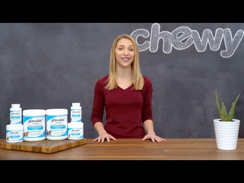 Glandex Dog Supplements | Chewy