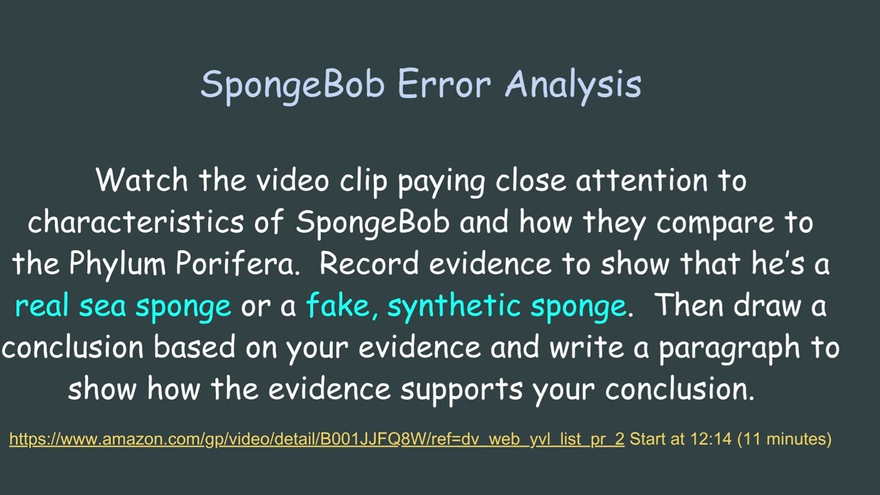 2 R   SpongeBob Error Analysis pptx