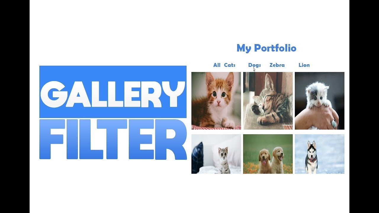 How to Create a Isotope Filter | Portfolio Gallery Filter | Use Isotope in Website | Source File