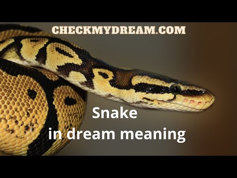 Snake Dream Meaning: A Sign of Transformation or Hidden Fear?