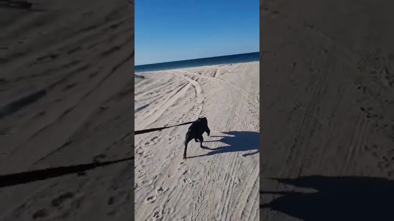 first time at the beach this summer