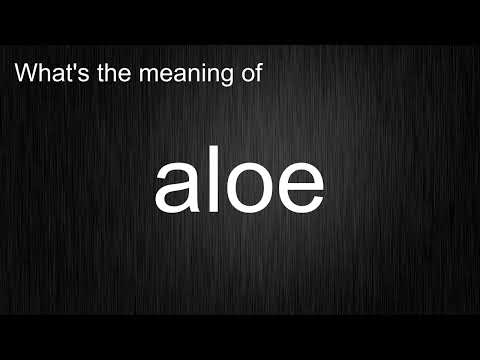 What's the meaning of "aloe", How to pronounce?