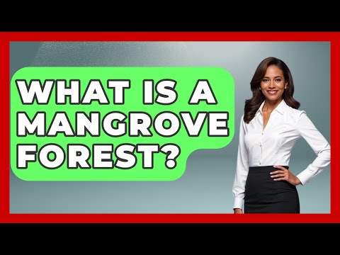 What Is A Mangrove Forest? - The Geography Atlas