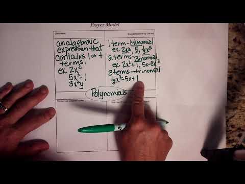 What is a Polynomial ?