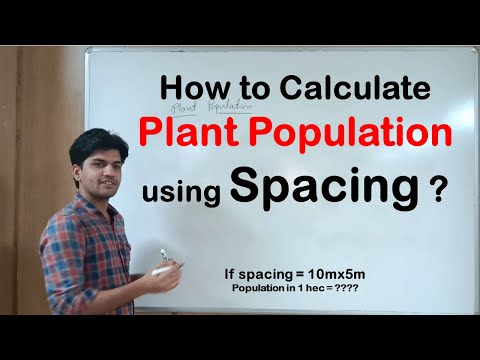 How to calculate Plant Population using Spacing || Agri Wale || Atul Singh ||