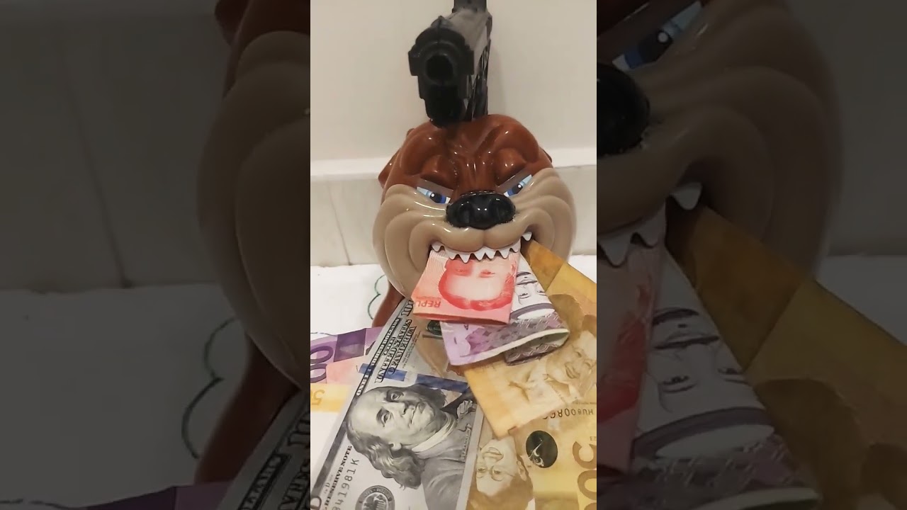 Most dangerous mad dog don't try to get his money #maddog #baddog #trending #shorts #money