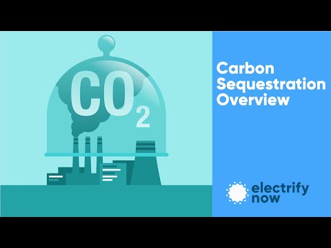Carbon Sequestration - An overview of carbon capture and storage solutions