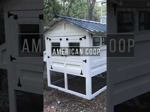Classic white and black American Coop!